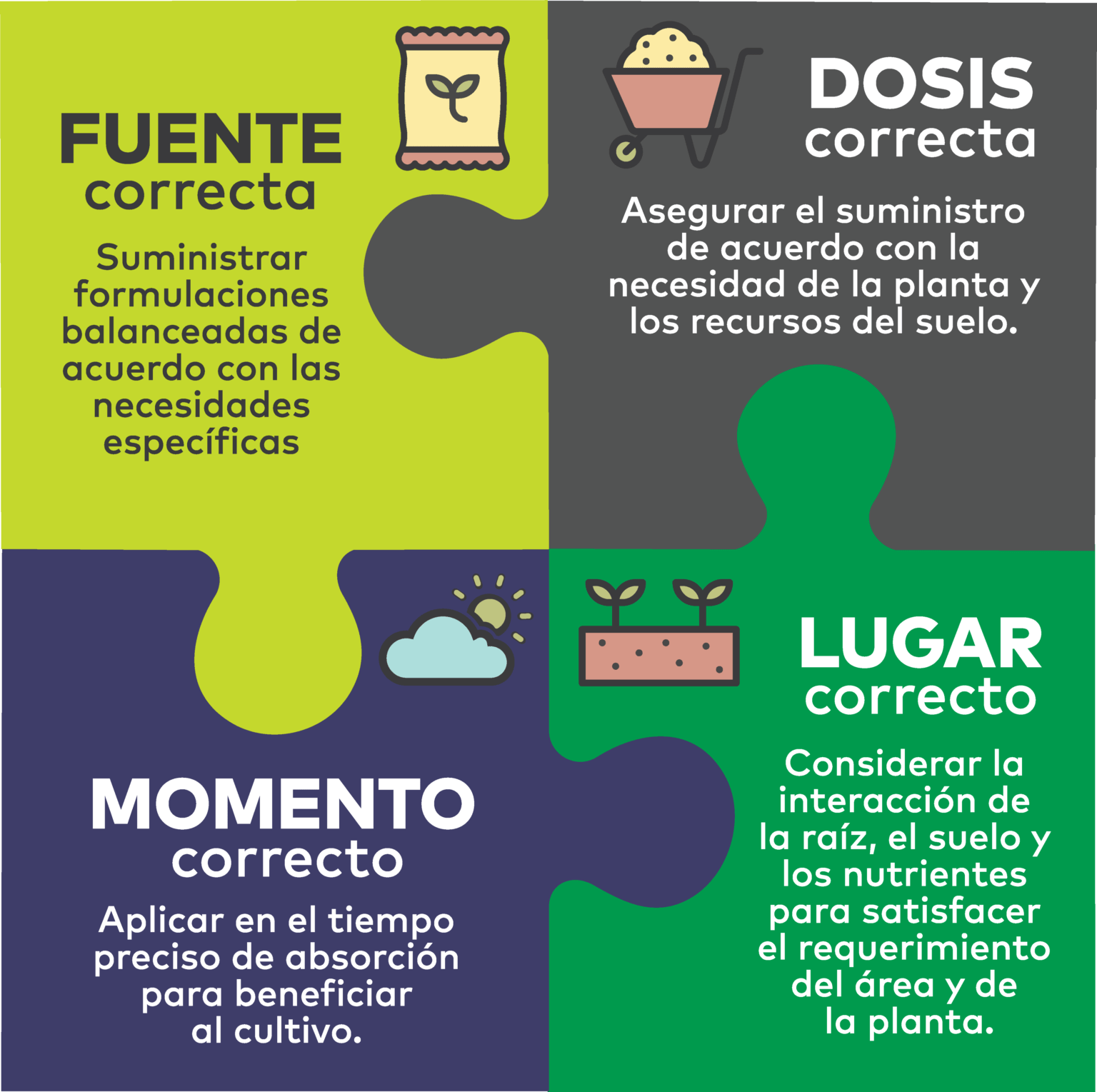 Las 4Rs Para Una Fertilización De Calidad Mundial. | Blog Cambiagro