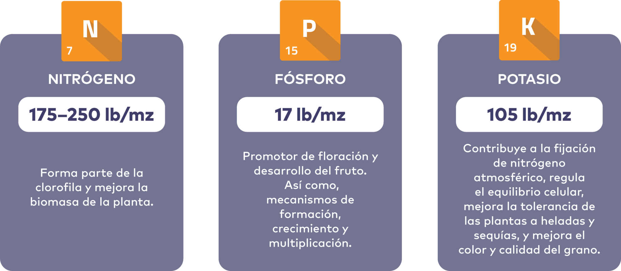 Requerimientos Nutricionales Del Café | Blog Cambiagro