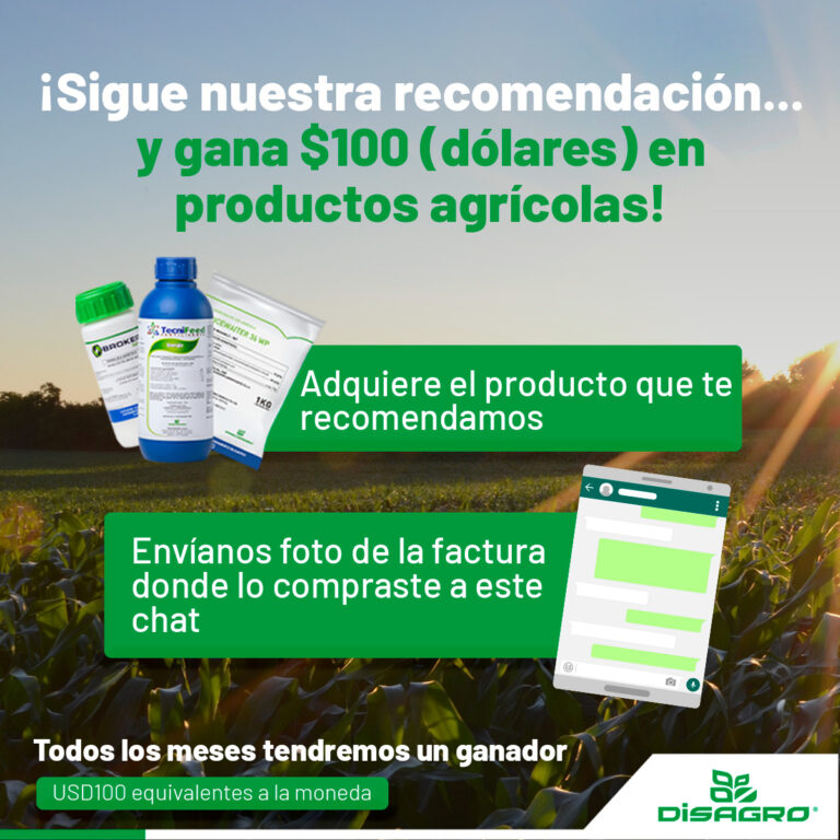 B2B2C DISAGRO | Blog.cambiagro.com
