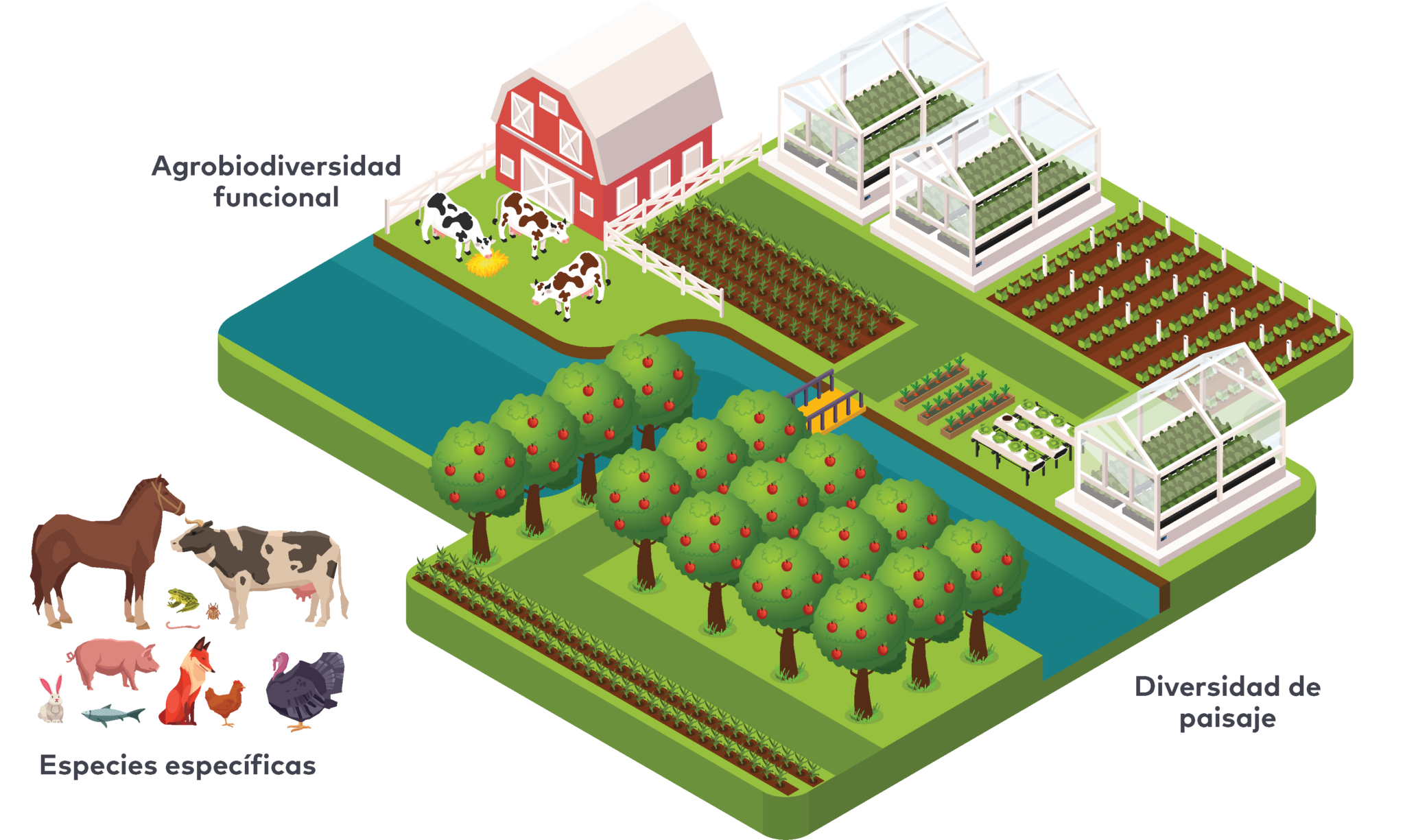 Agrobiodiversidad | Blog Cambiagro