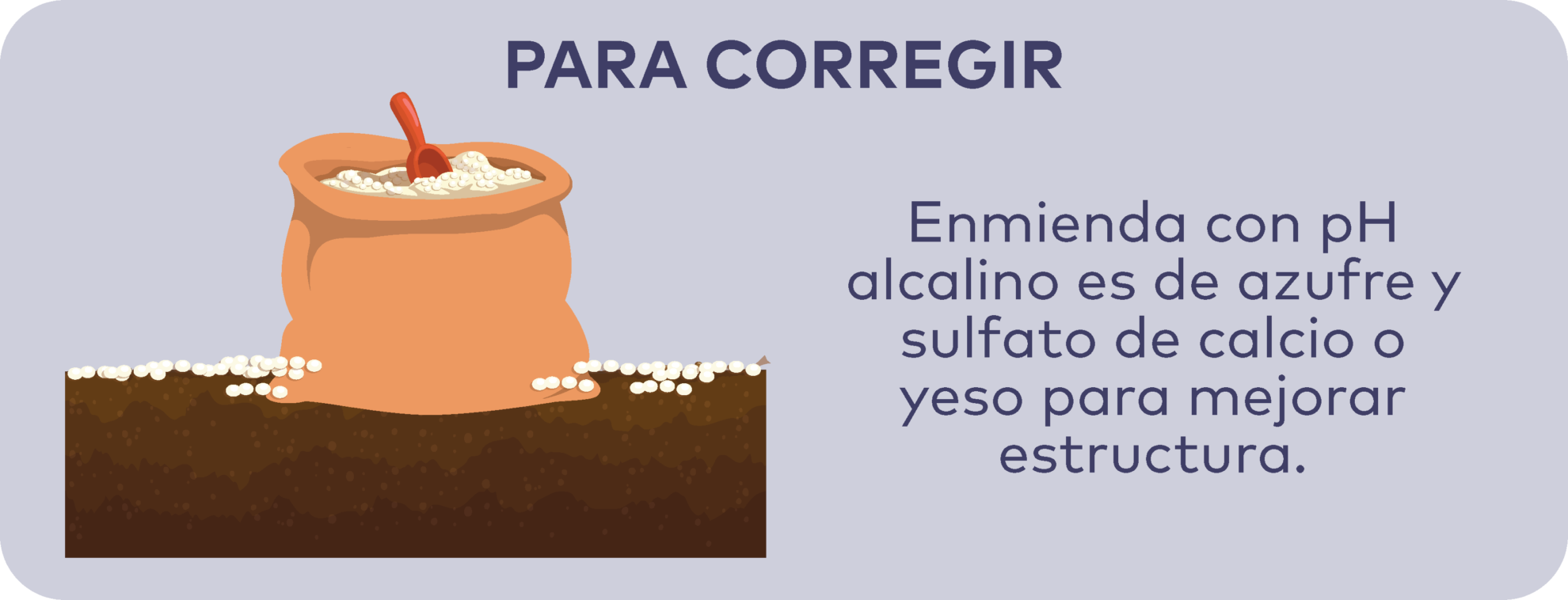 ¿Sabe Cuál Es La Importancia De Conocer El PH En El Suelo? | Blog Cambiagro