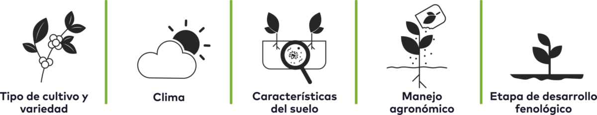 Fertilización De Acuerdo Al Desarrollo Fenológico Del Cultivo | Blog ...