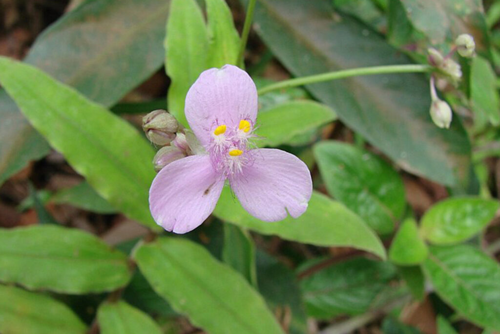 Suelda Con Suelda | Blog.cambiagro.com