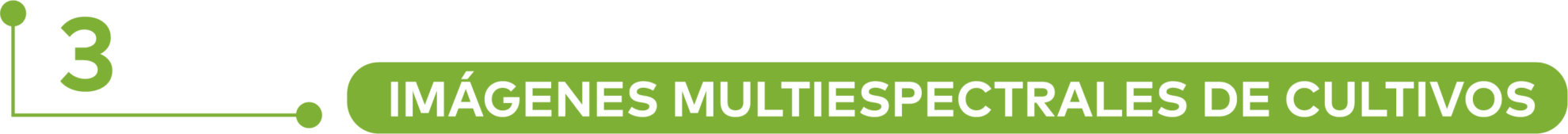 Avances Tecnológicos En La Agricultura | Blog Cambiagro