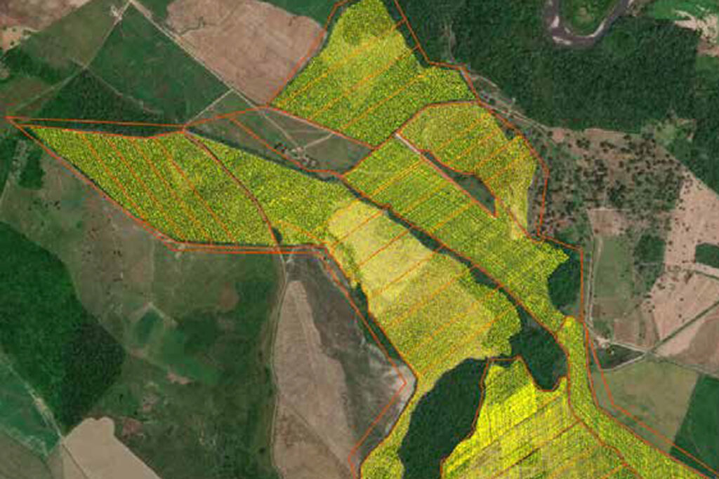 Avances Tecnológicos En La Agricultura | Blog Cambiagro