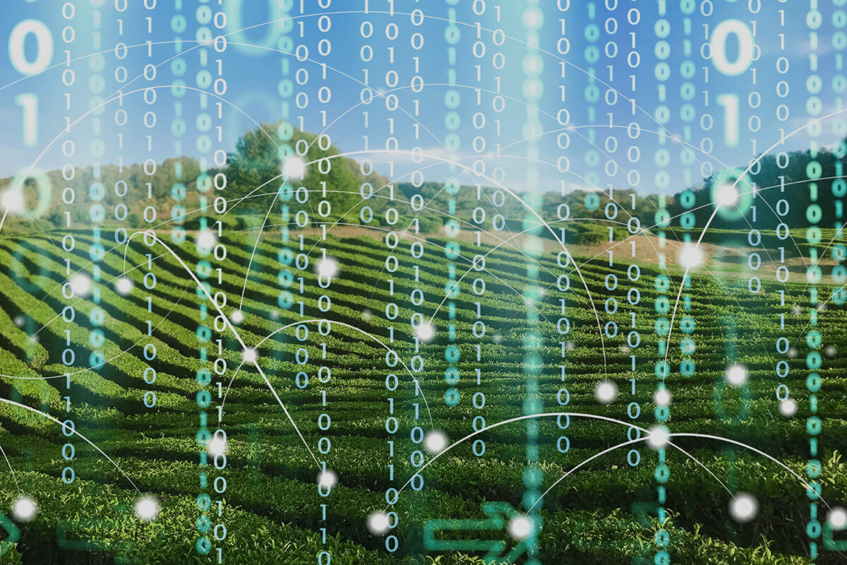 Avances Tecnológicos En La Agricultura | Blog Cambiagro