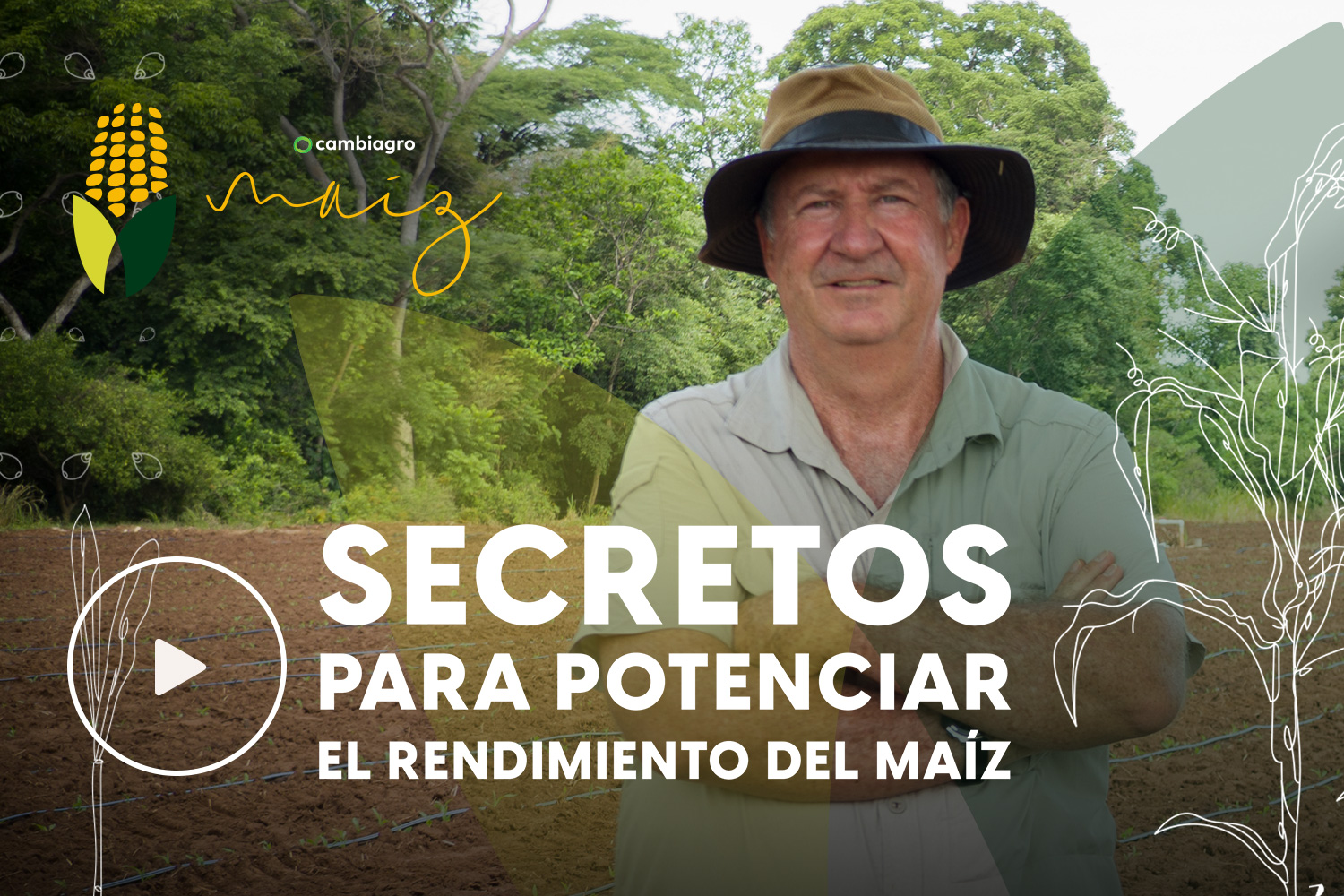 Serie Dedicada Al Maiz | Blog.cambiagro.com