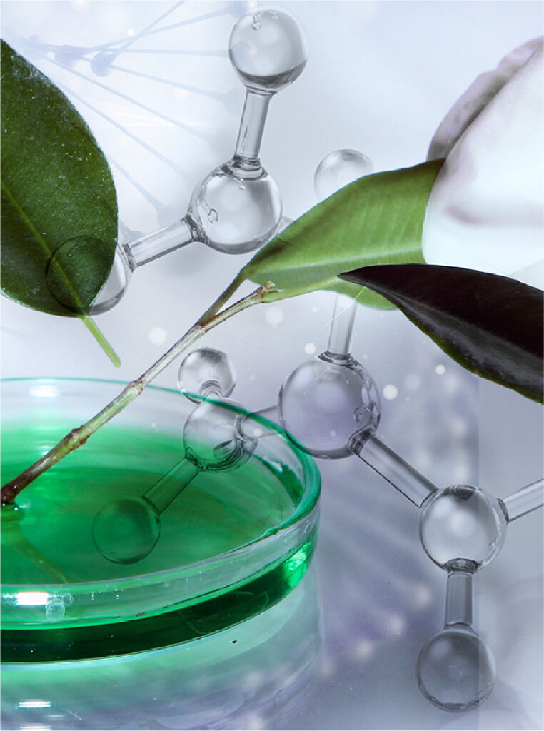 Bioestimulantes: Una Ayuda Contra El Estrés Por Déficit Hídrico | Blog ...