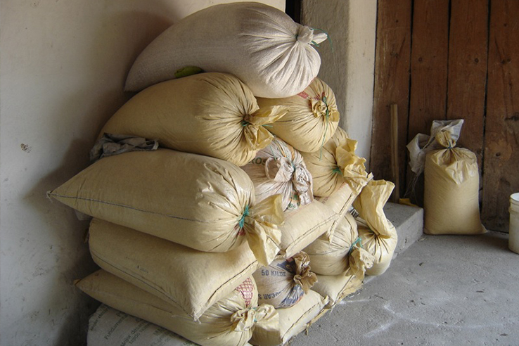 Conservación De Semillas De Maíz: Almacenamiento Y Beneficios | Blog ... Conservación De Semillas De Maíz: Almacenamiento Y Beneficios | Blog ...
