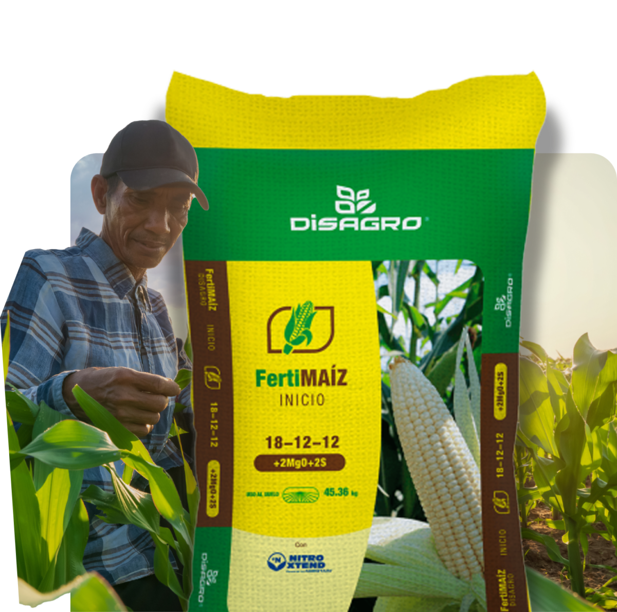 Cotiza FertiCROP® Para Tu Cultivo | DISAGRO®