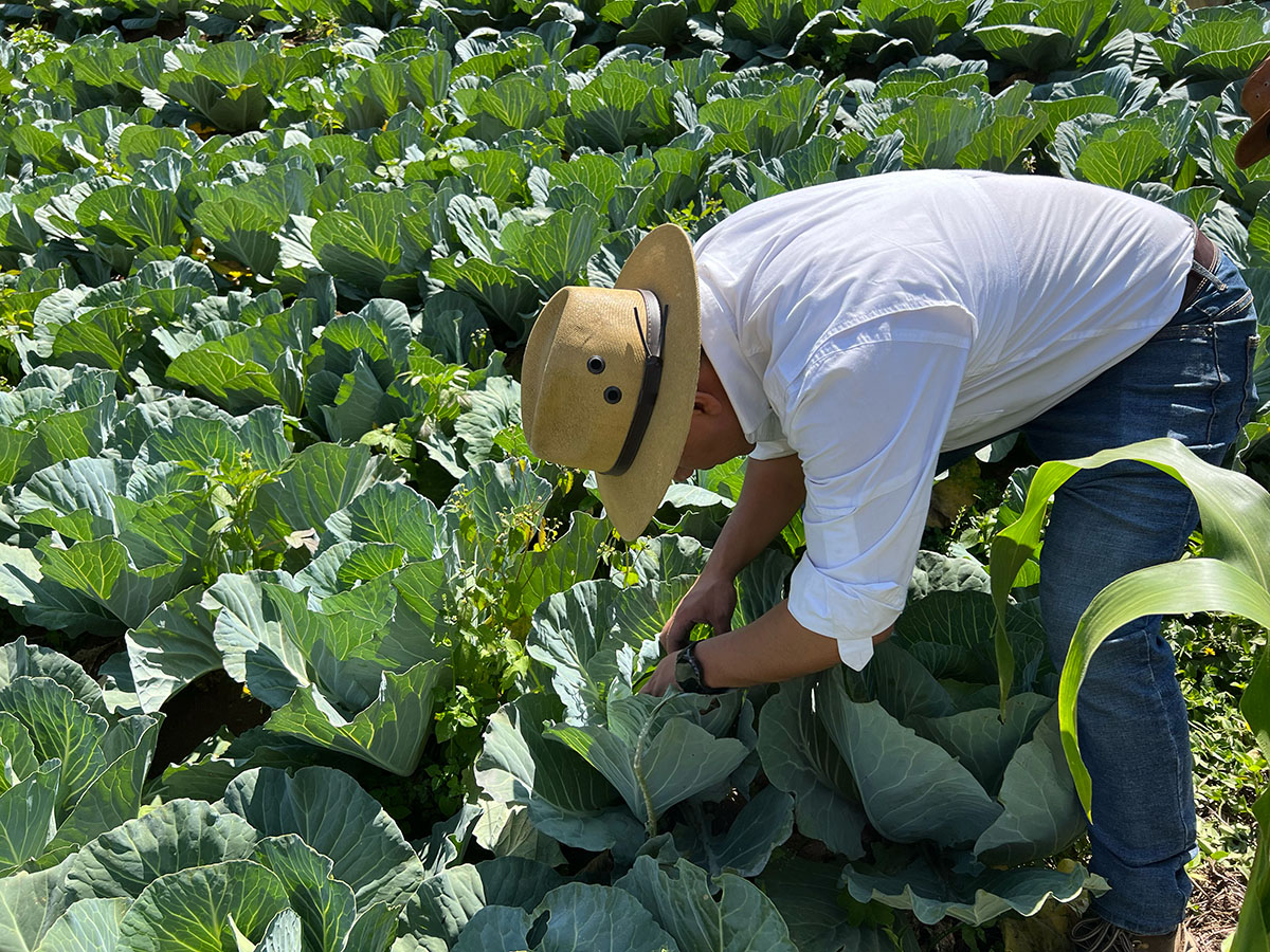 Cómo Los Ensayos De Larga Duración Transforman La Agricultura | Blog Cambiagro