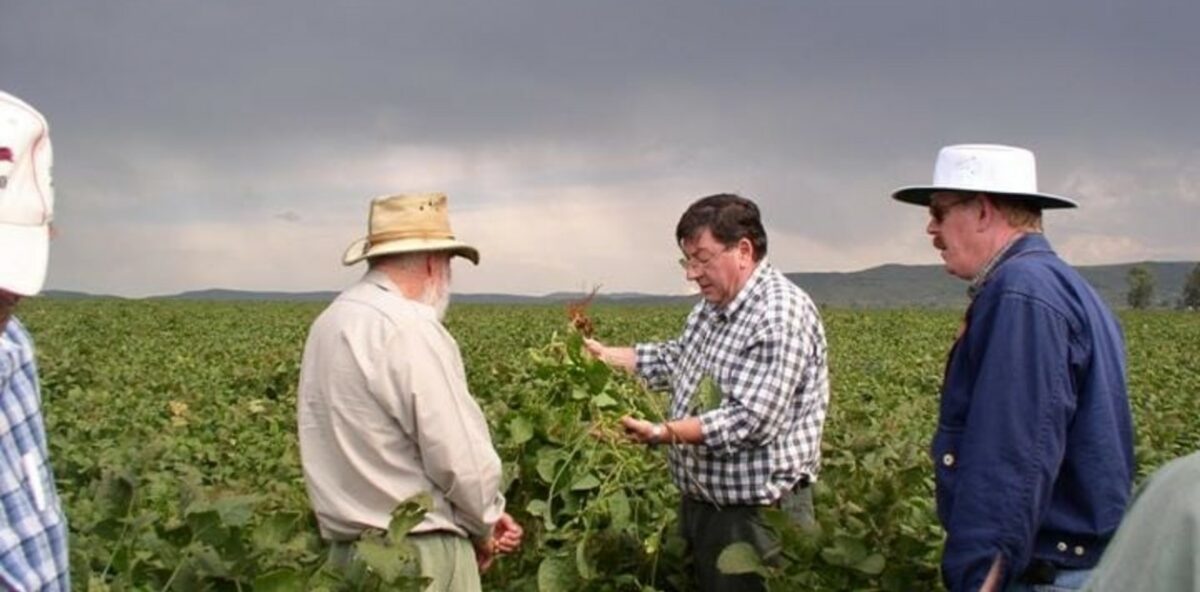 Siembra Directa: La Innovación Argentina En La Agricultura | Blog Cambiagro