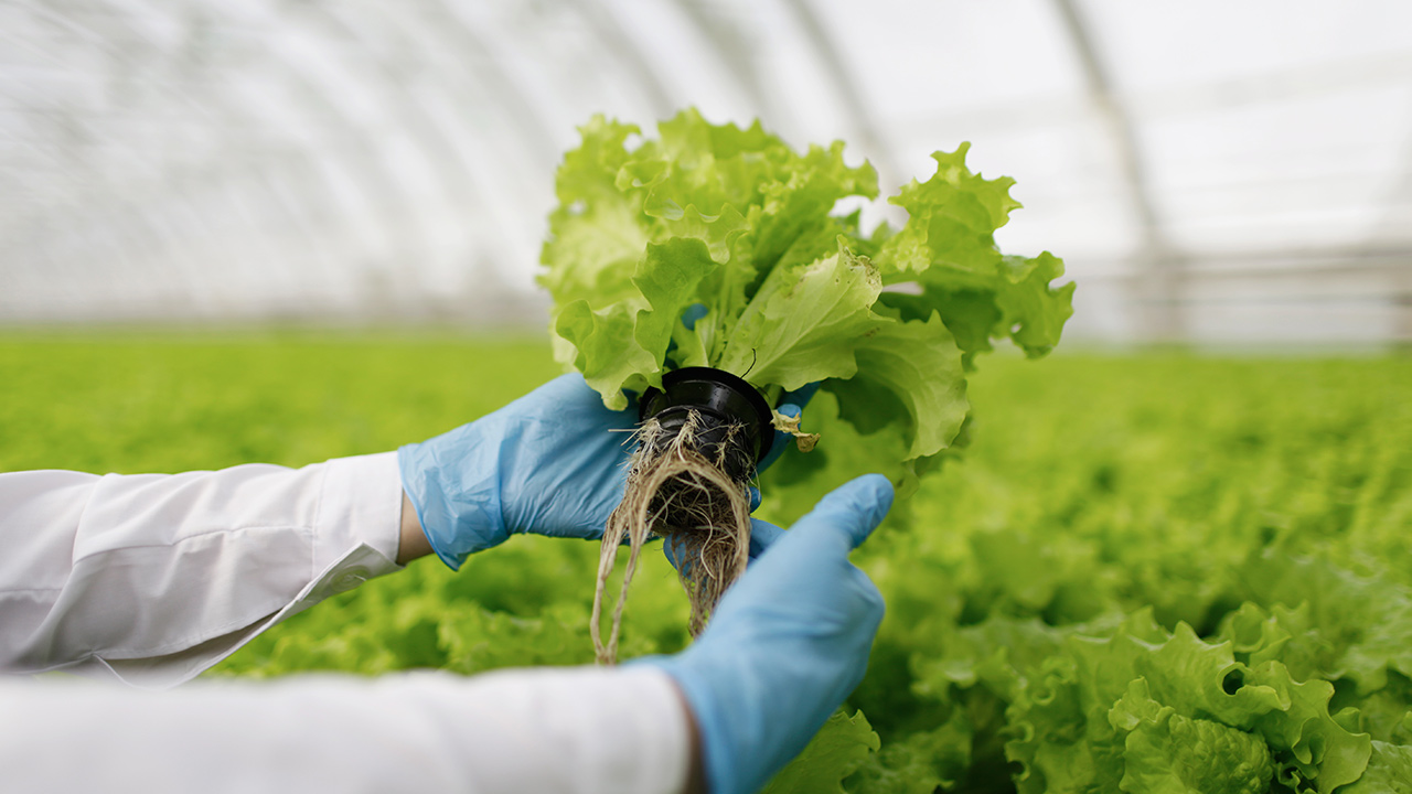 Todascategorias | Blog.cambiagro.com